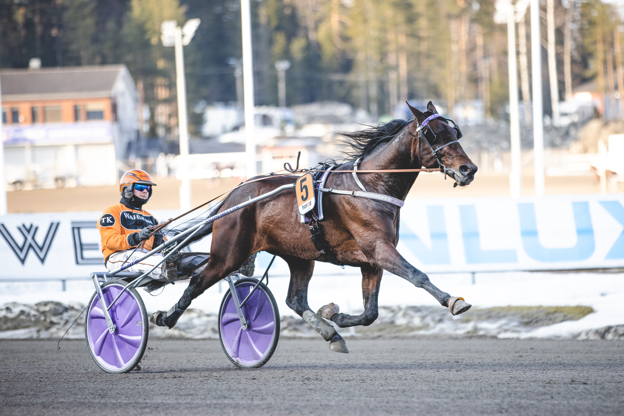 Esittelyssä vuoden 2023 Jämsän Äijän Ajo (lv) – Jämsän Ravit – Aina ...